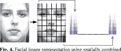 Visual Descriptor Semantic Scholar