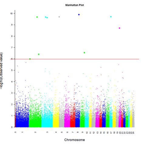 Genome Wide Plot Of Log10p Values For Association Of Snp Loci With