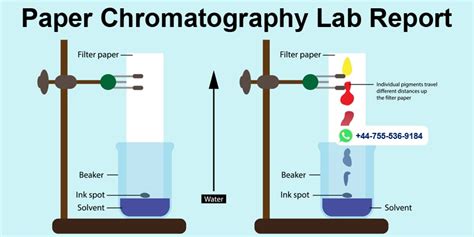 Chromatography Experiment Lab Report