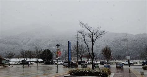 이강태 고수의 전등 교체설치 서비스 서울 성동구 숨고 숨은고수