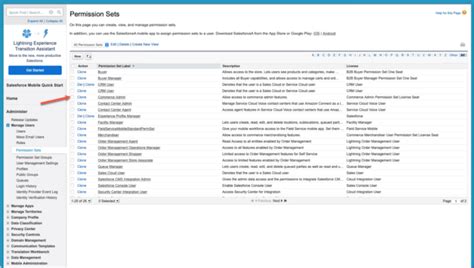 How To Enable Api Access In Salesforce