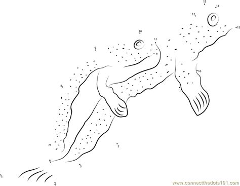 Dusky Gilled Mudskippers Dot To Dot Printable Worksheet Connect The Dots