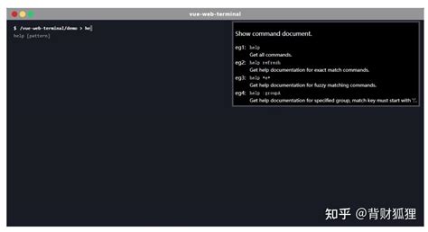 女朋友悄咪咪给我推荐的网页终端，她是懂男人的！ 知乎