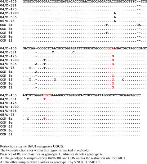 Nucleic Acid Sequence Alignment Of The Hcv Genotype 6 From Position 143 Download Scientific