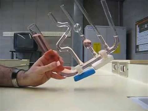 Paradoja hidrostática 2 Vasos comunicantes YouTube