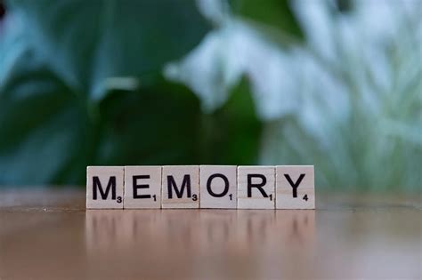Understanding Java Pass By Value Vs Pass By Reference By Zeki