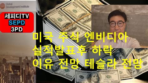 엔비디아 실적 발표후 하락 이유 테슬라 실적발표는 전망은 세피디tv Youtube