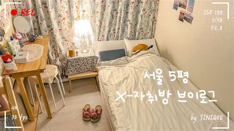 좁지만 행복했던 나의 서울 5평 X 자취방 브이로그 자취방 꾸미면서 느낀점 룸투어 자취템 소개 반려식물 키우기 Youtube