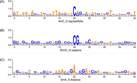 The Logo Of Three Distinct Types Of Methylation Download Scientific
