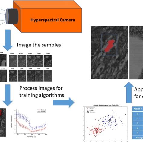 Hyperspectral Imaging Training And Semi Auto Detection Workflow