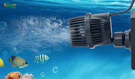 Benefits Of Wave Maker In Aquarium At Patricia Bartholomew Blog