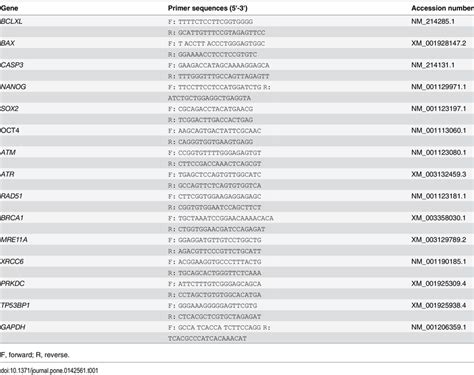 Primers Used For Real Time Reverse Transcription Pcr Download Table