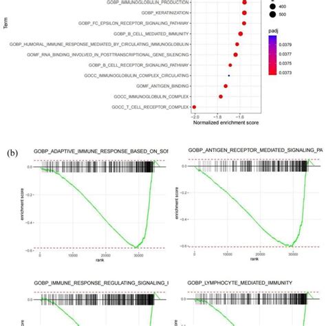Functional Enrichment Of 25 Immune Related Gene Pairs A Results Of