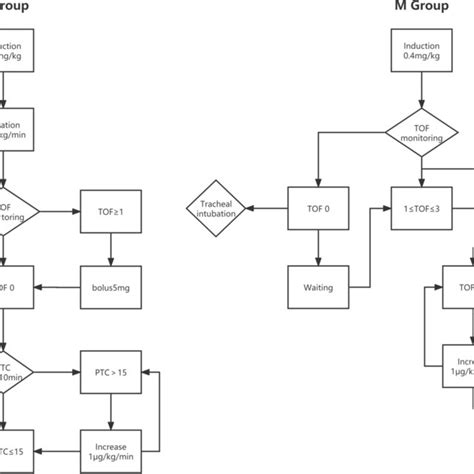 The Af 201p™ Module The Integrated Stimulating And Sensing Electrode Download Scientific