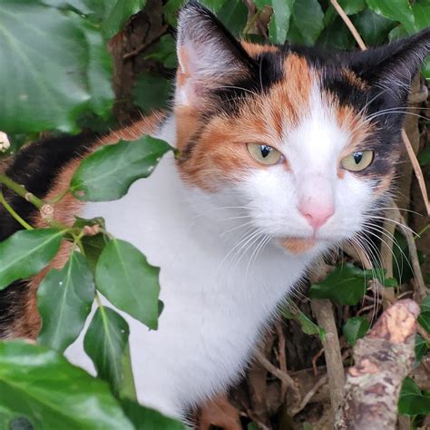 Daily Hugo Post 83 Rforsen Daily Hugo Post 83 Rforsen