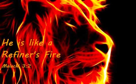 Dr Boris Nikolov Posted On Linkedin