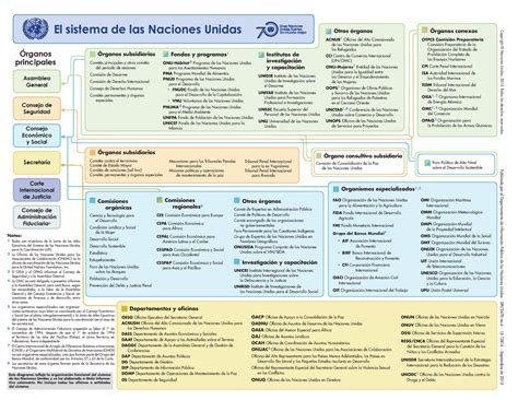 El Sistema De Las Naciones Unidas Órganos Principales Asamblea