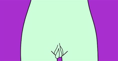 Apparently There Are Only Types Of Vagina Which One Do You Have