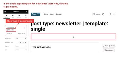Dynamic Content Tag Missing Custom Fields VOXEL