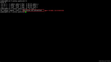 【linux ＞shell与权限管理】 shell权限怎么开启 csdn博客