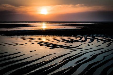 Facts About Sheen Estevez The Adventures Of Jimmy Neutron Boy