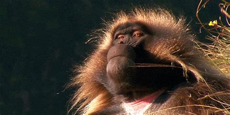 Quand Le Dev Senior Ma Donné La Solution Pour Corriger Mon Bug Et Me