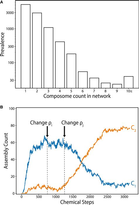 Attractor Dynamics Drives Self Reproduction In Protobiological