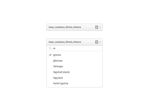 Dropdown Multiselect