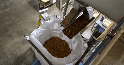 Qcify Eye Qcify Connecting The Dots