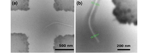 A Scanning Electron Microscopy Sem Image Of A Sub Micrometer Sized Download Scientific