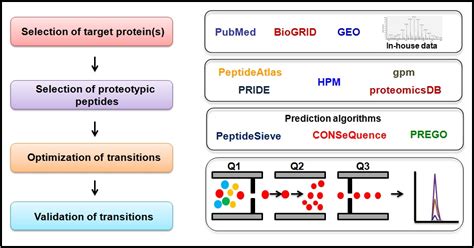 Targeted Proteomics