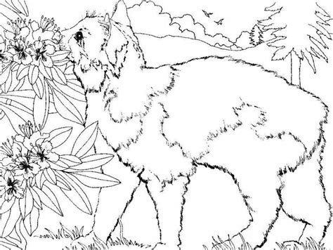 Раскраски По Номерам Природа 70 фото