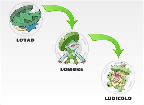 Pokemons Evolução Lotad