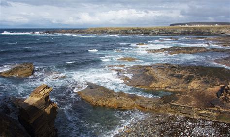 Connecting With Abigail Dewitts The Sex Appeal Of The French Five