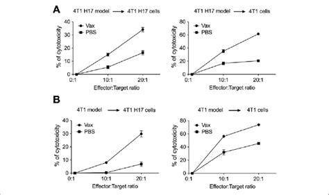 Cytotoxicity Assay By Cfse And 7 Aad Staining Cfse Stained Target Download Scientific Diagram