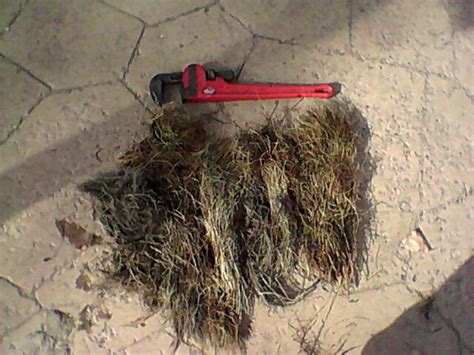 Camera Sewer Lines For Tree Root Intrusion Minneapolis MN Clogged Plumbing Clogged Plumbing