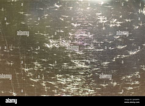 Grid In Sun Grid On Window Window Details Background Of Rays Of