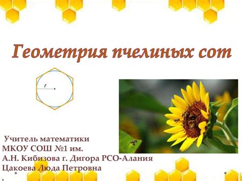 Пчелиные соты презентация онлайн