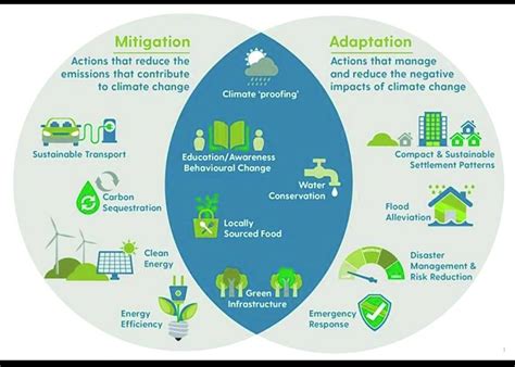 Kevin Nderitu On Linkedin Africaclimatesummit Africaclimateweek Locallyledactions Tokahora
