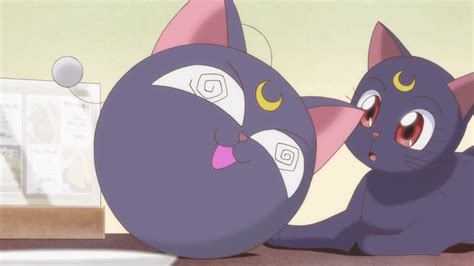 Sailor Moon 21 Things About Artemis And Luna That Make No Sense