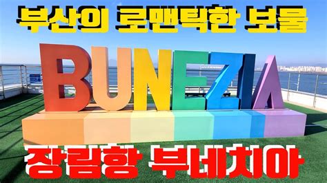 부네치아 부산의 로맨틱한 보물 장림항 부네치아 Korea Travel Vlog Youtube