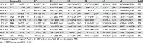 Genome Lengths Nucleotide Positions On The Genome And Sizes Of Download Table