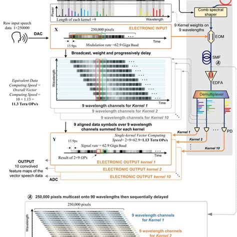 Vector Convolutional Accelerator For Processing One Dimensional