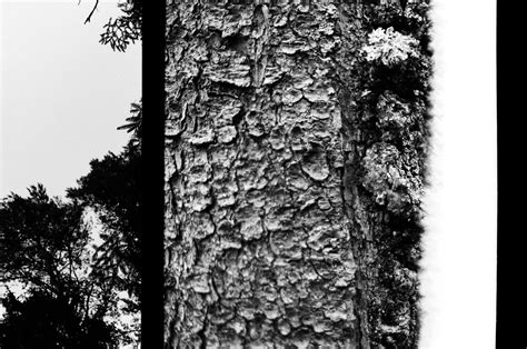 Cute And Sexy Cute And Sexy Added A New Photo