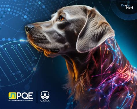 Danilo Neri On Linkedin Our Team At Pqe Group Is All About Groundbreaking Partnerships Which Is…