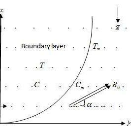The Geometry Of The Model Download Scientific Diagram