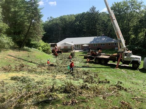 Tree Removal East Coast Tree Experts LLC