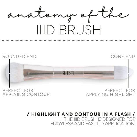 Seint Brushes Guide 2024