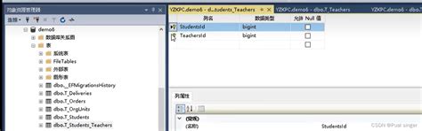 杨中科 core efcore第七部分 一对一，多对多 ef 一对一 配置 csdn博客