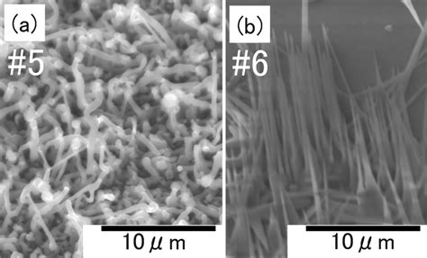Scanning Electron Microscope Images Tilt 30 • Of A Sample 5 And